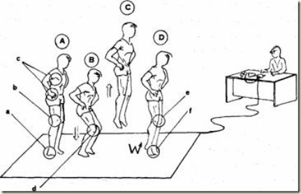 Sports and Fitness Science: Vertical Jump tests: how to perform ...